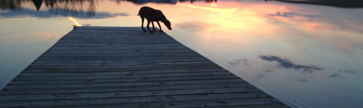 Welcome to Brush Lake - A Little Slice Of Paradise