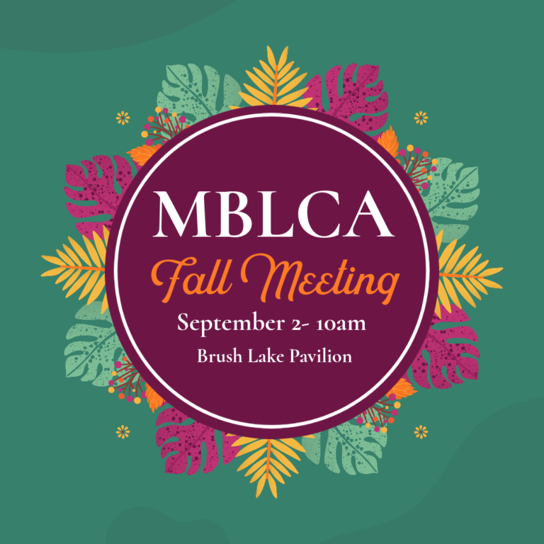 Brush Lake, ND – Brush Lake near Mercer, ND